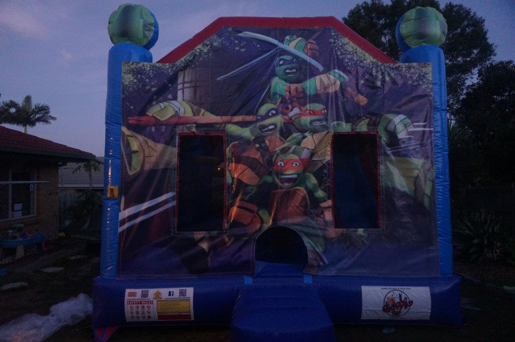 Jumping Castles - With slides - GoWild Castles & Party Hire Greenbank ...