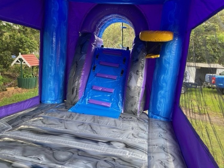 Ninja Jumping Castle with Waterslide - GoWild Castles & Party Hire ...