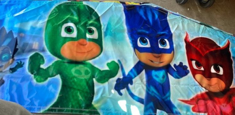 PJ Masks Jumping Castle with External Dry Slide - GoWild Castles ...