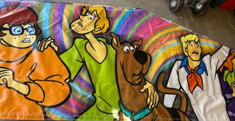 Scooby Doo Jumping Castle with External Dry Slide - GoWild Castles ...