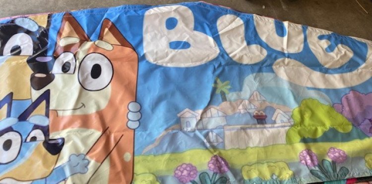 Bluey Jumping Castle with Waterslide - GoWild Castles & Party Hire ...