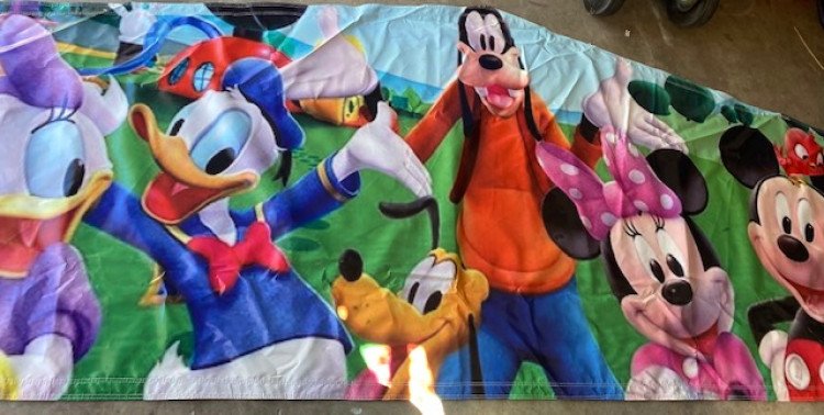Mickey Mouse Jumping Castle with Waterslide - GoWild Castles & Party ...